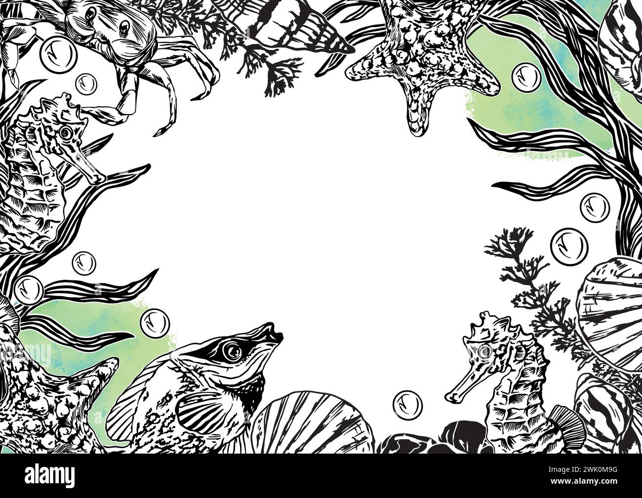 Marine frame, square. Crab, fish, kelp, starfish, shells. Illustration ...