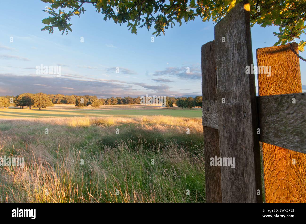 Richmond Park, in the London Borough of Richmond upon Thames, is the ...