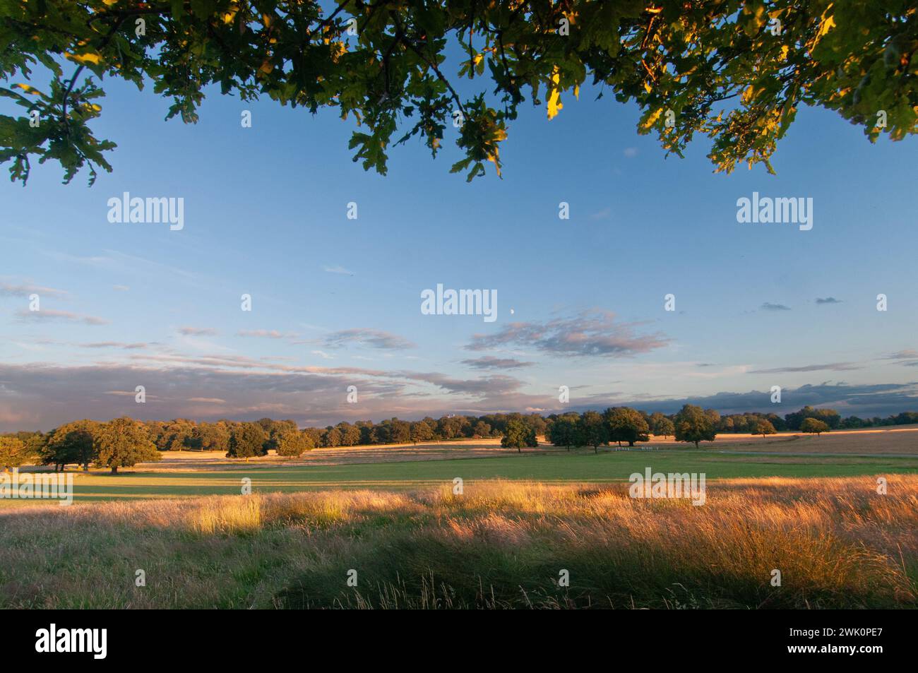 Richmond Park, in the London Borough of Richmond upon Thames, is the ...