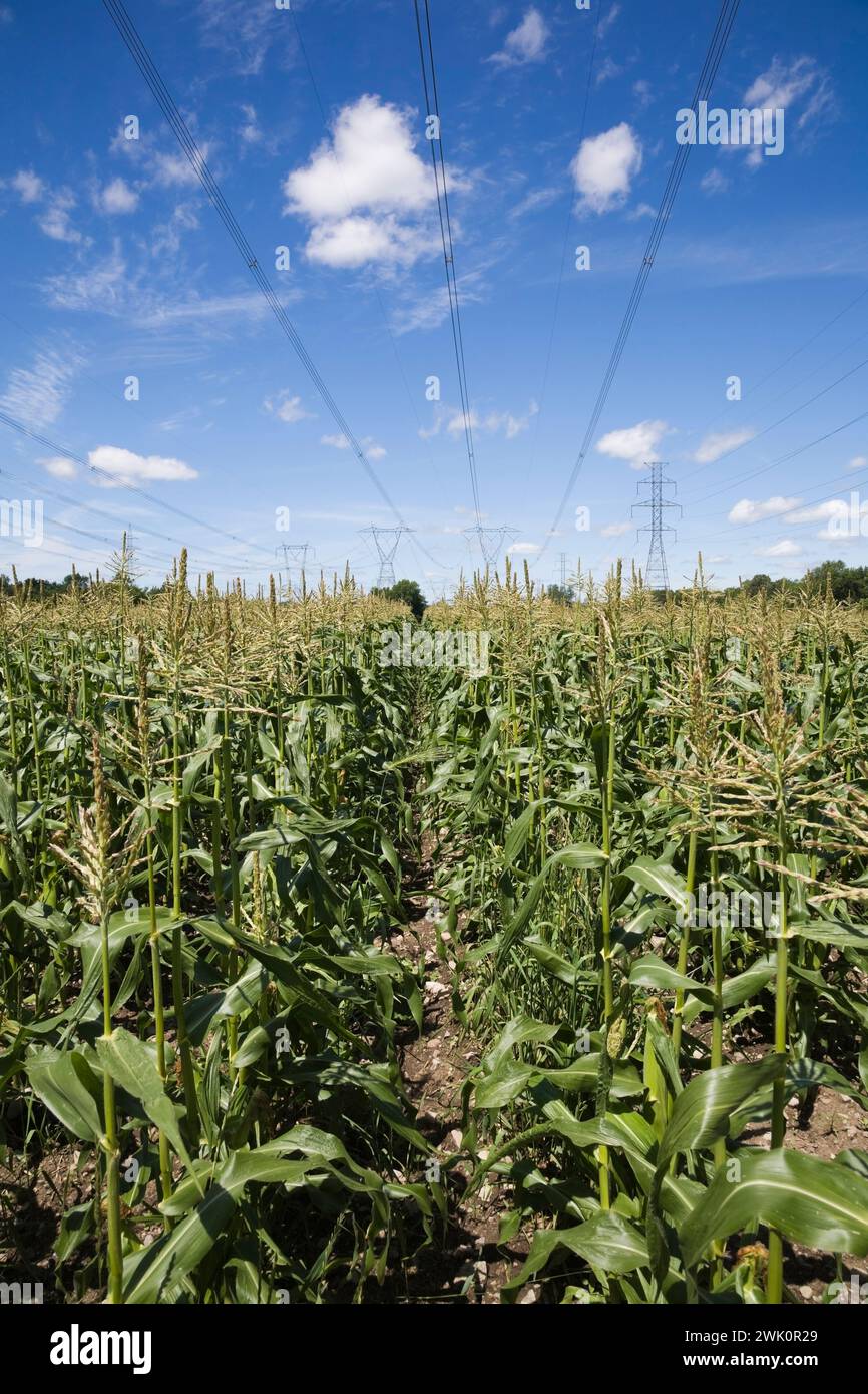 Hydro field hi-res stock photography and images - Alamy
