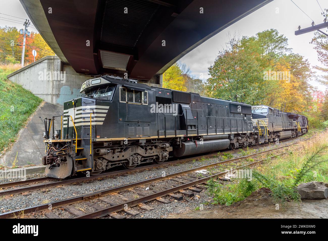 Powerful black diesel locomotives pulling a cargo train under a bridge ...