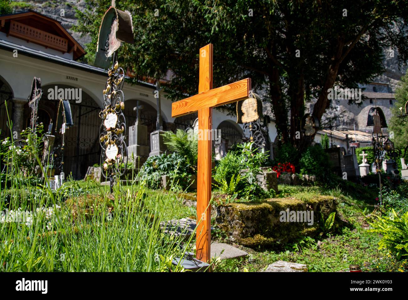 A Sunlit Wooden Cross on an Unmarked Cemetery Surrounded by Lush ...