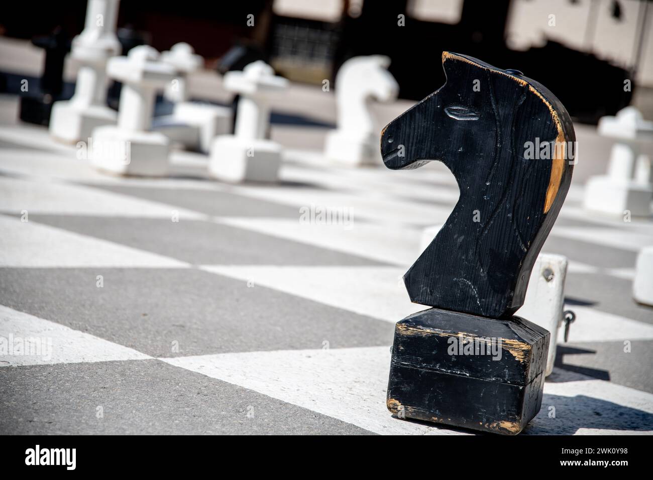 A Black Knight Chess Piece with a Horse Head on a Grand Gray-White ...
