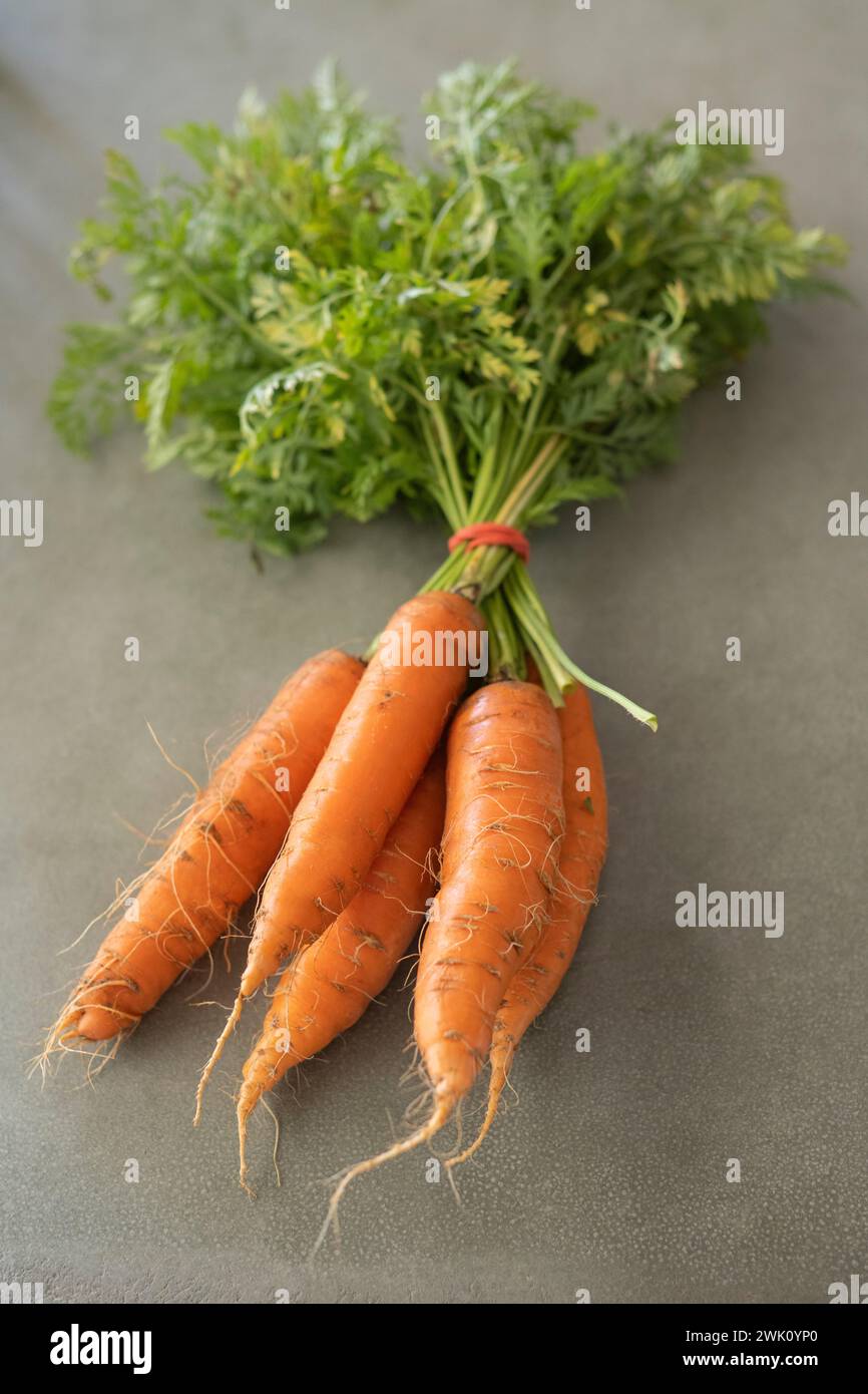 A bunch of raw carrots fresh from the farm tied together Stock Photo ...