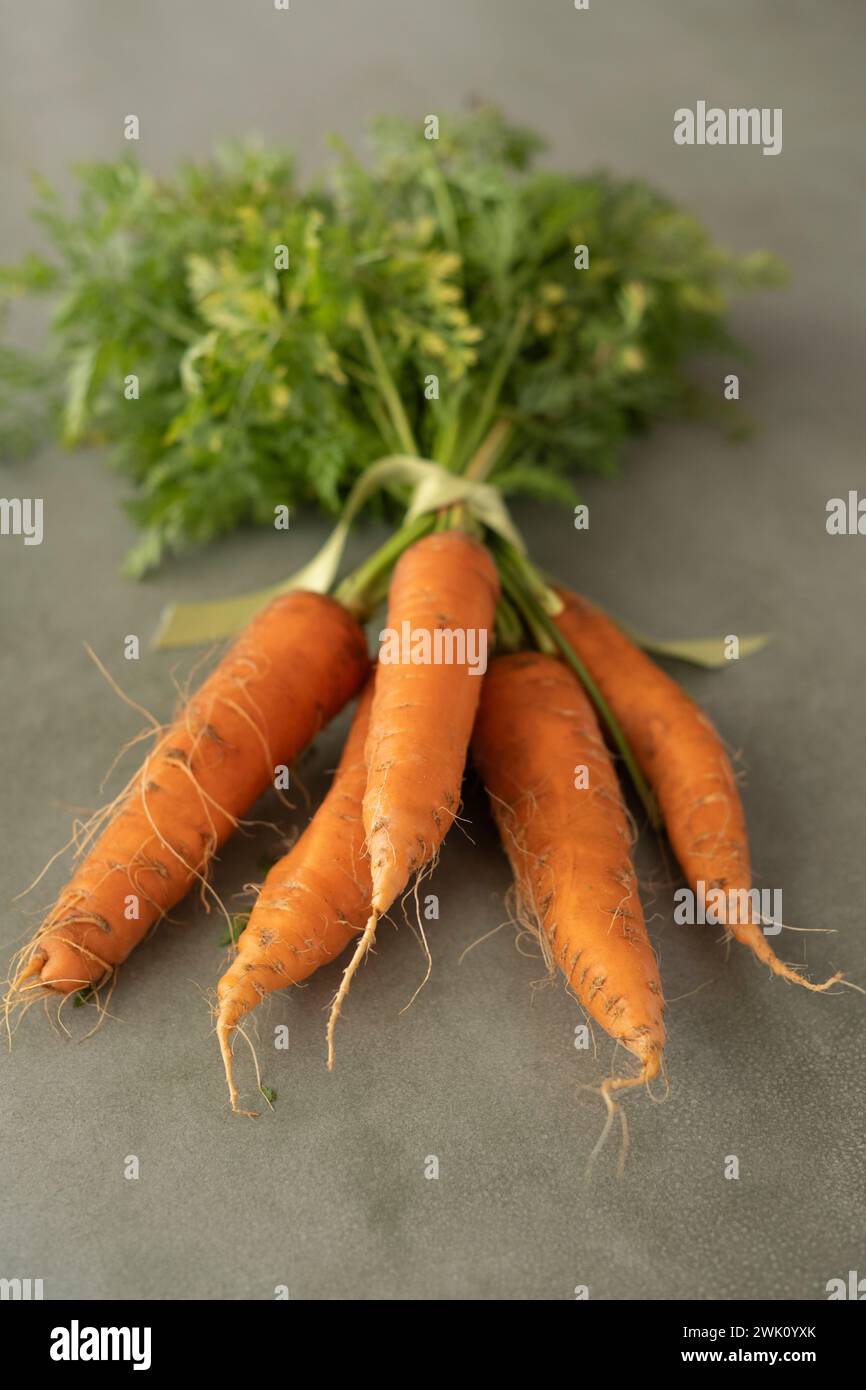 A bunch of farm-fresh organic carrots on a rustic kitchen table tied ...