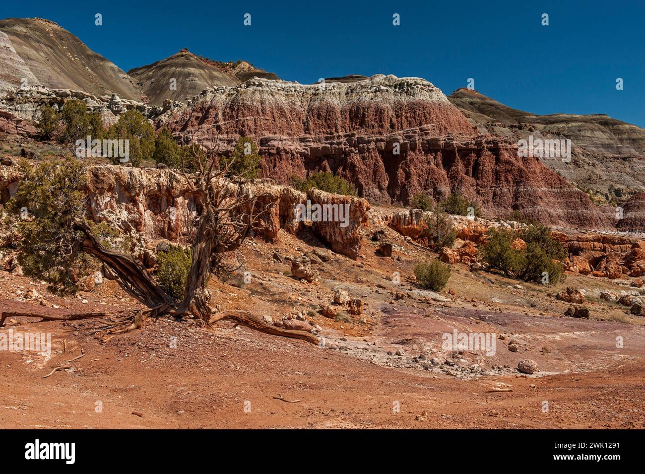 Wasatch formation hi-res stock photography and images - Alamy