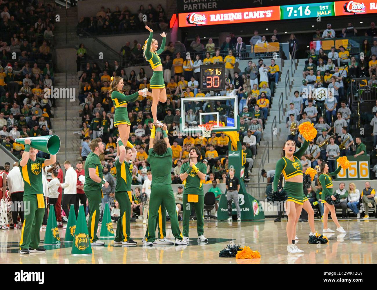 February 13 2024: Baylor Bears cheerleaders during the 1st half of the ...