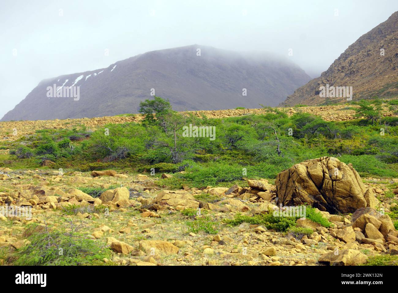 Exposed rock from the earth's mantle in Gros Morne National Park with ...