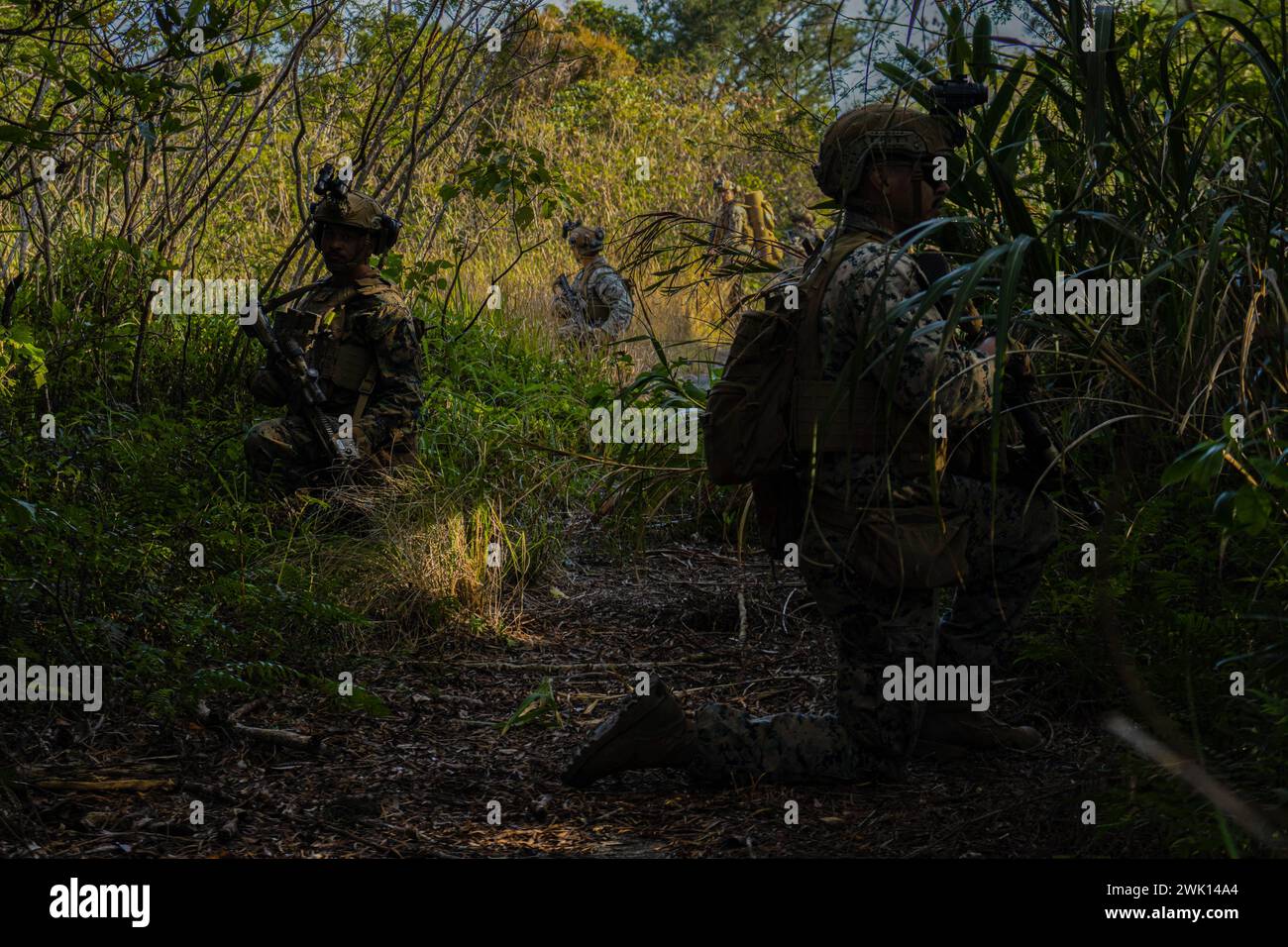 Blt 1 1 motorized raid hi-res stock photography and images - Alamy