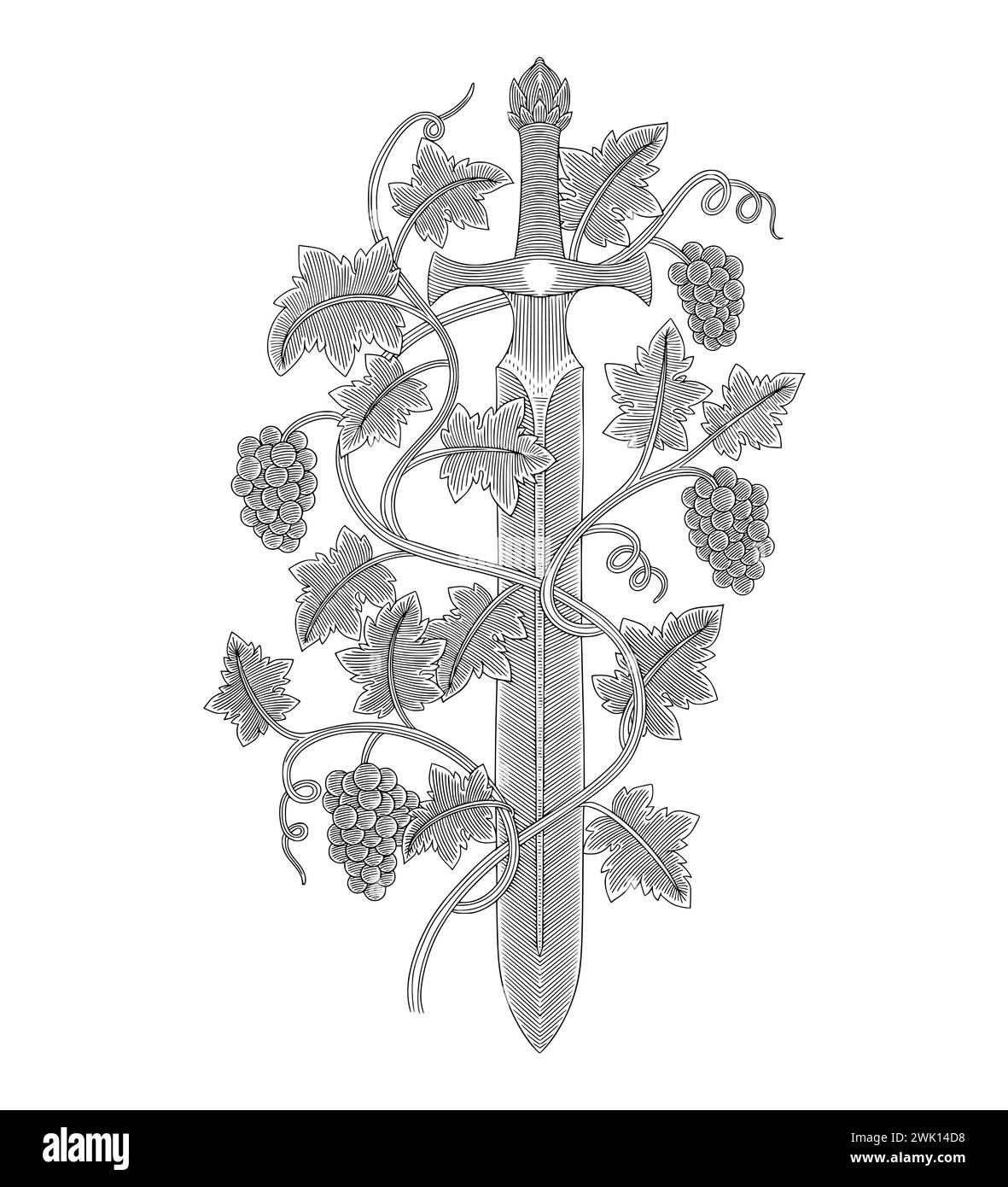 antique sword with grape tree and fruits t, vintage engraving drawing ...