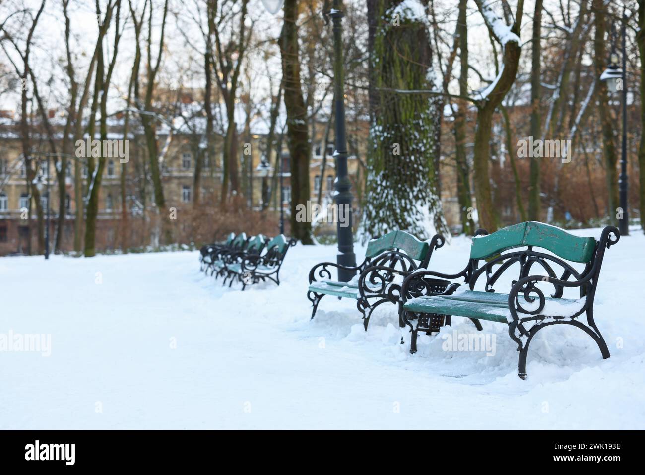 Green benches, trees and buildings in snowy park Stock Photo - Alamy