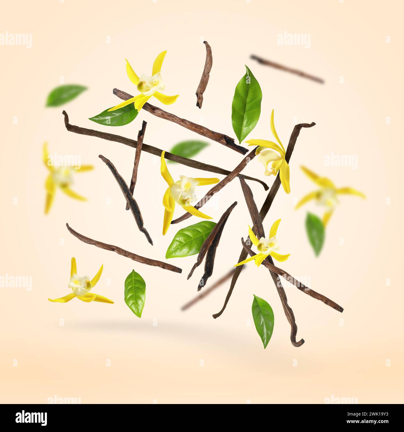 Vanilla pods, yellow flowers and green leaves falling on beige ...