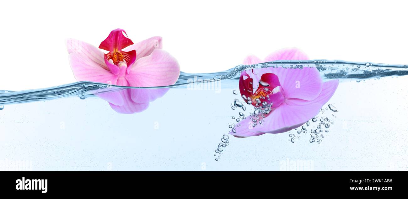 Underwater, falling, flowers hi-res stock photography and images - Alamy