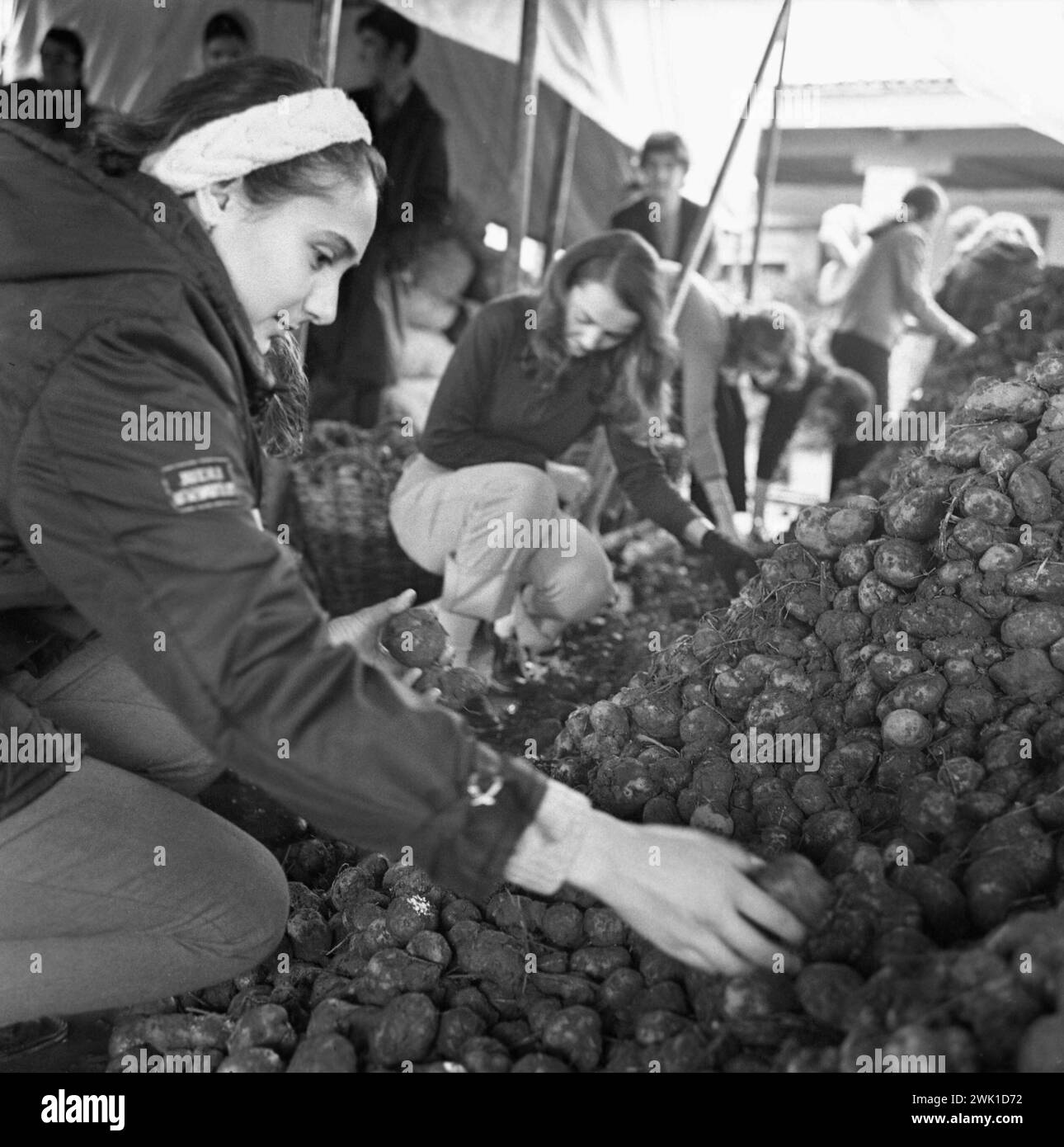 Socialist Republic of Romania, approx. 1978. Students participating in ...