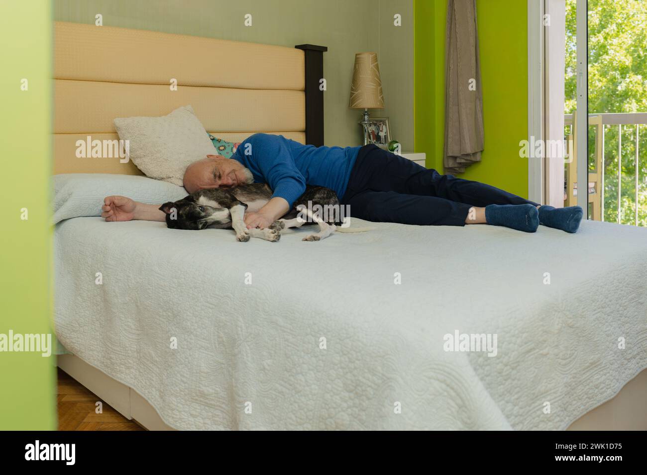 A bald man with a white beard enjoys a peaceful nap alongside his loyal ...