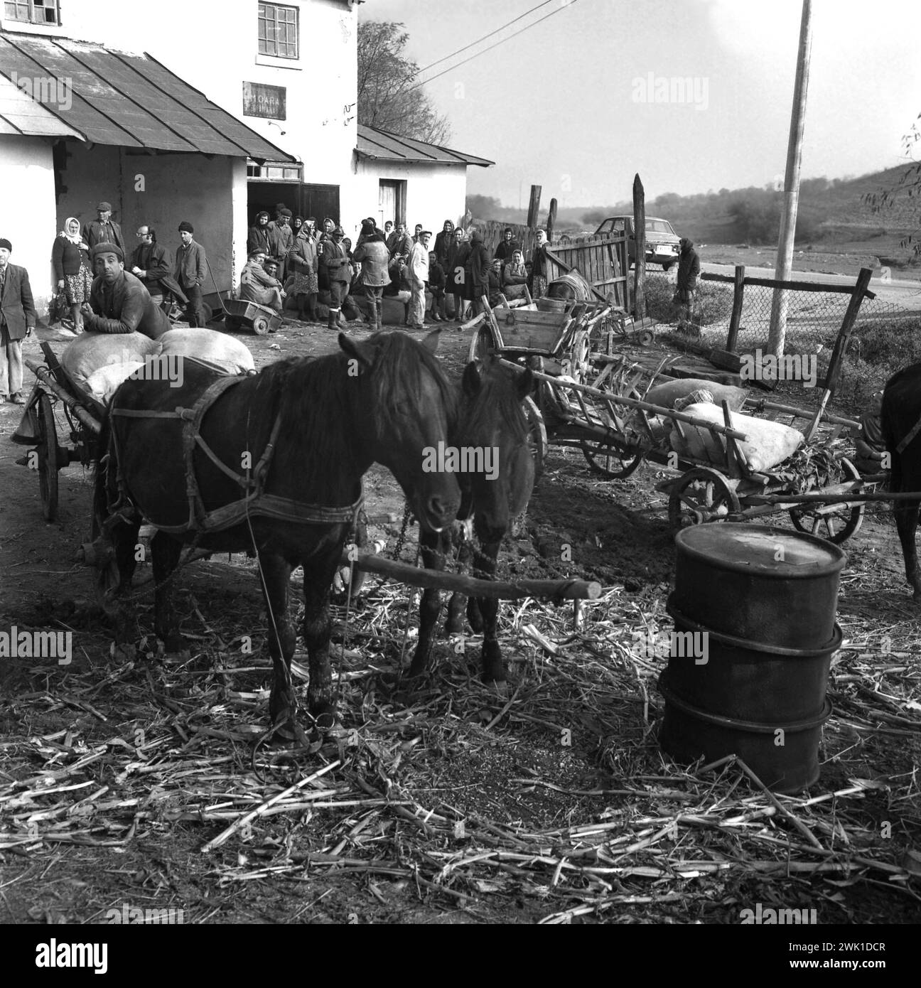 Collective farm romania hi-res stock photography and images - Alamy