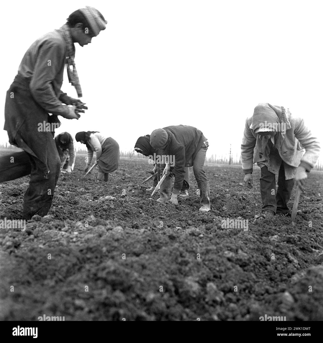 Rural poverty 1970s hi-res stock photography and images - Alamy