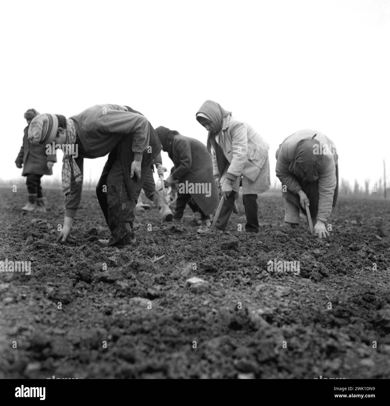 Rural poverty 1970s hi-res stock photography and images - Alamy