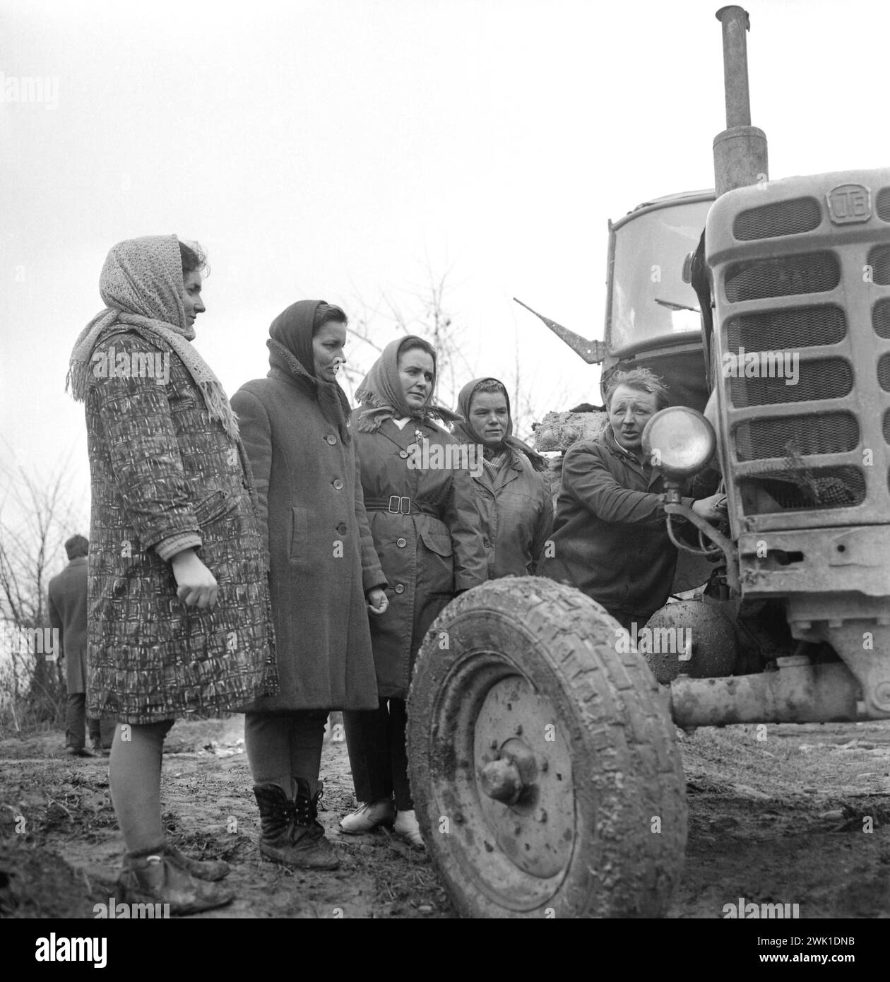 State agricultural cooperative in communist Romania, in the 1970s. A ...