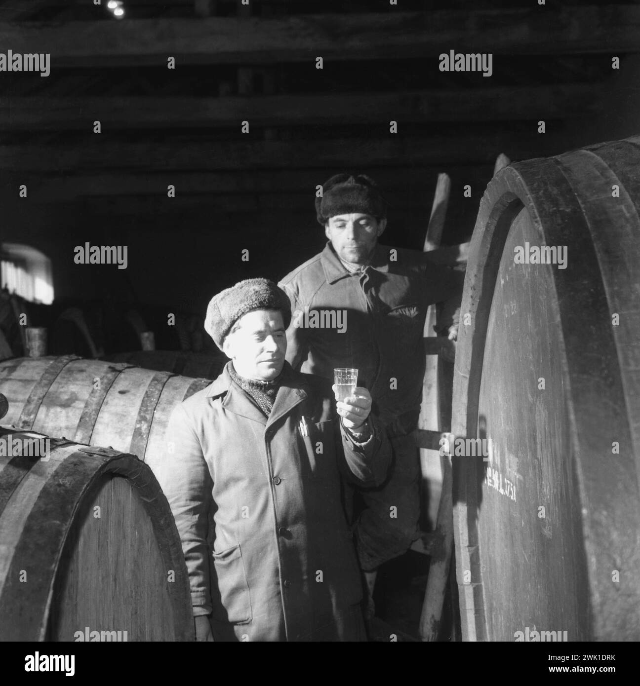 State agricultural cooperative in communist Romania, in the 1970s ...