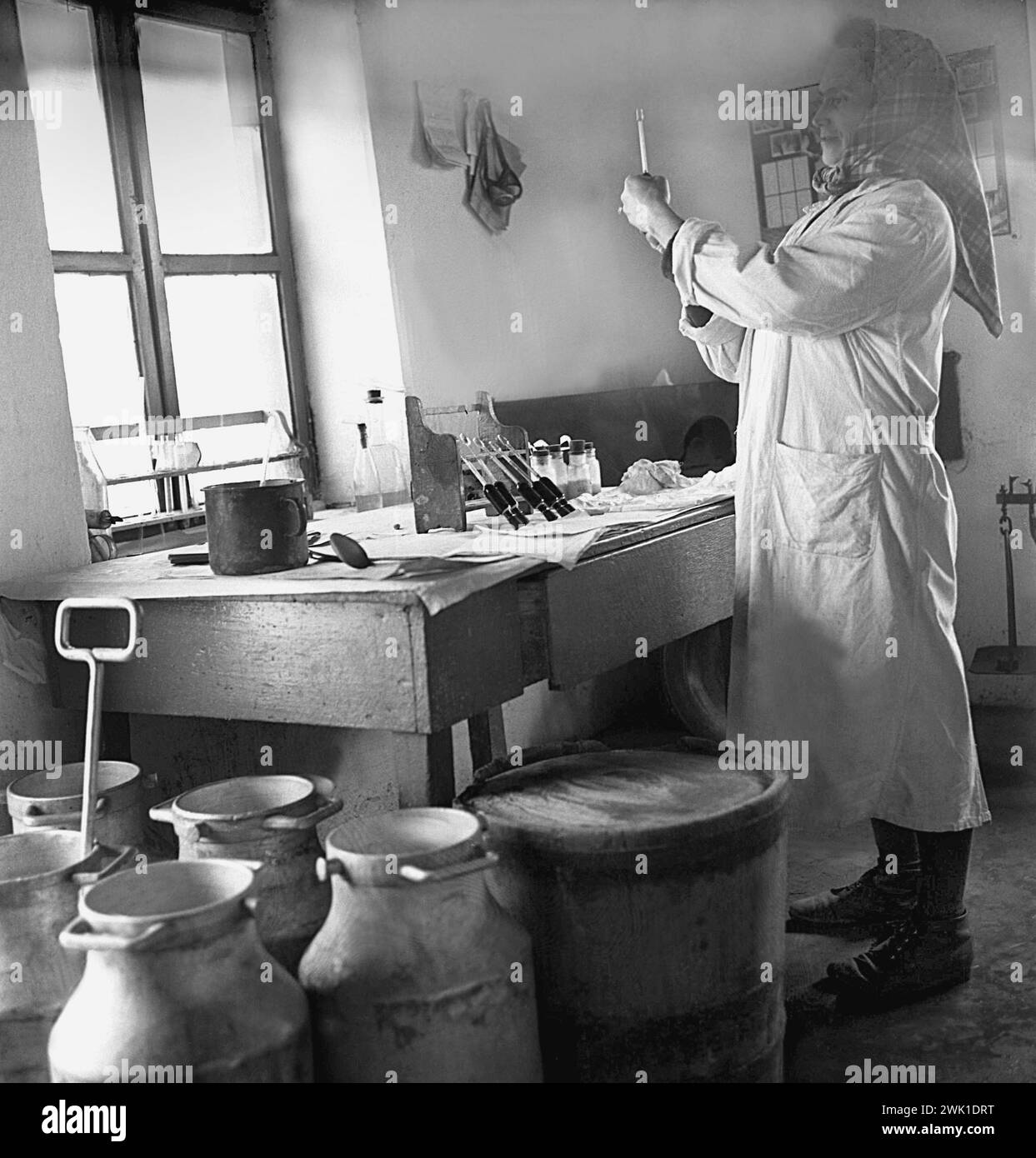 State agricultural cooperative in communist Romania, in the 1970s. A ...