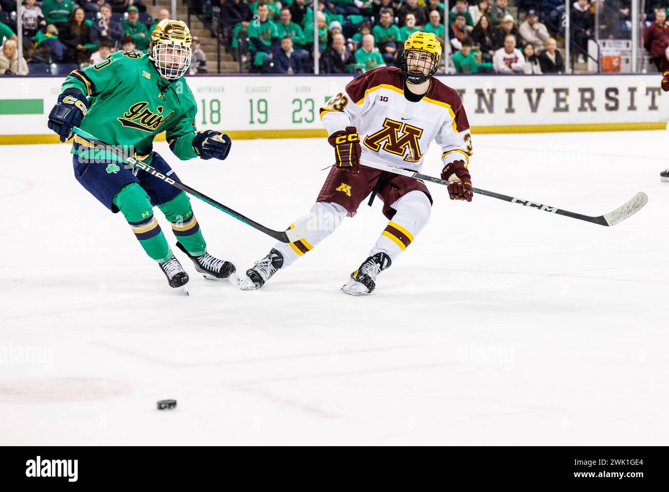 South Bend, Indiana, USA. 17th Feb, 2024. Notre Dame forward Hunter ...