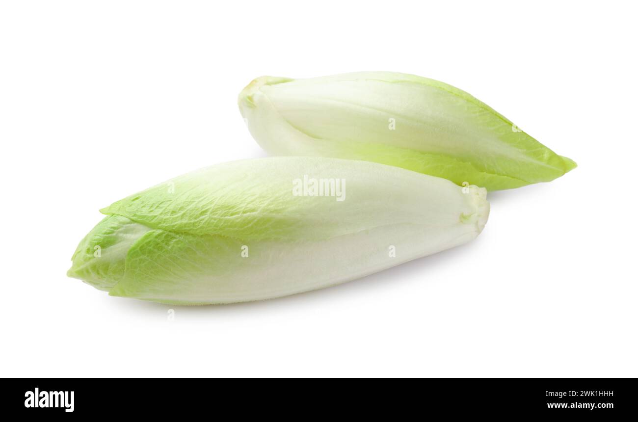Raw ripe chicories on white background. Belgian endive Stock Photo - Alamy
