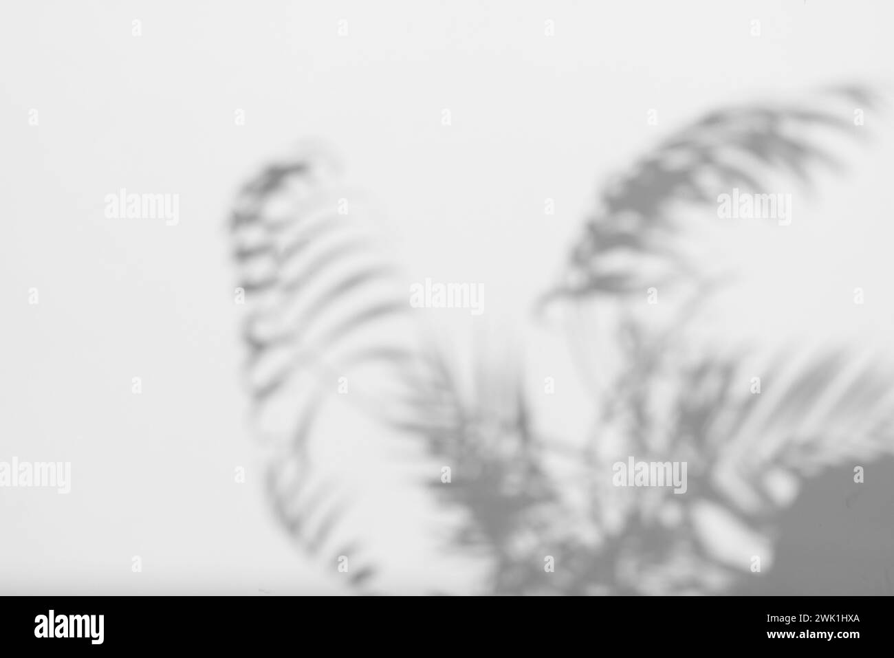 White windows from inside Black and White Stock Photos & Images - Alamy