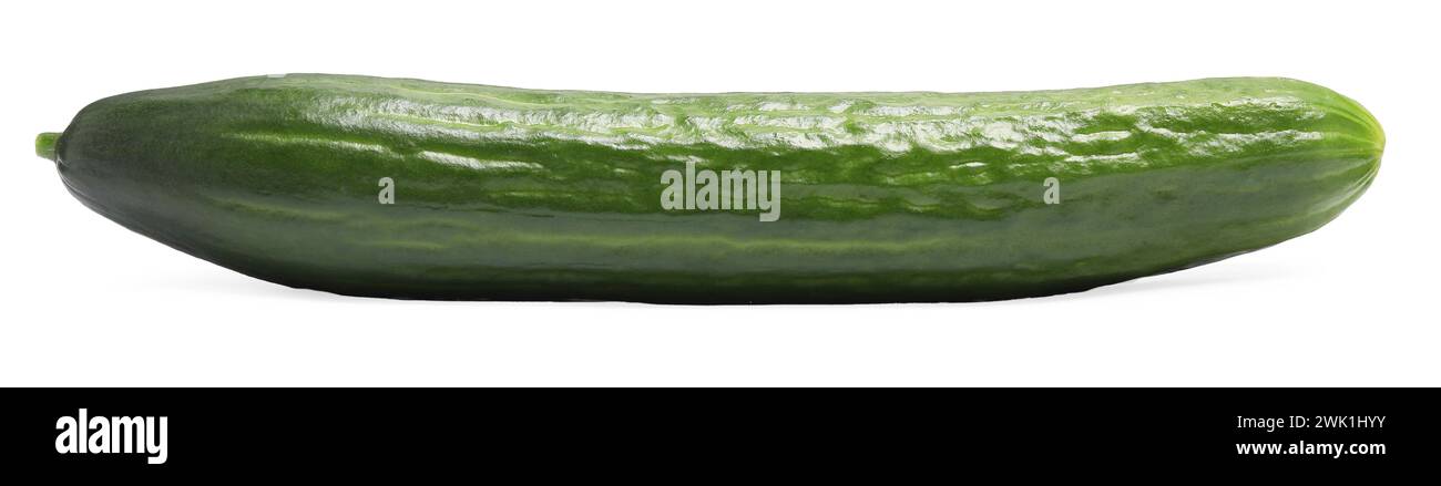 One long fresh cucumber isolated on white Stock Photo - Alamy