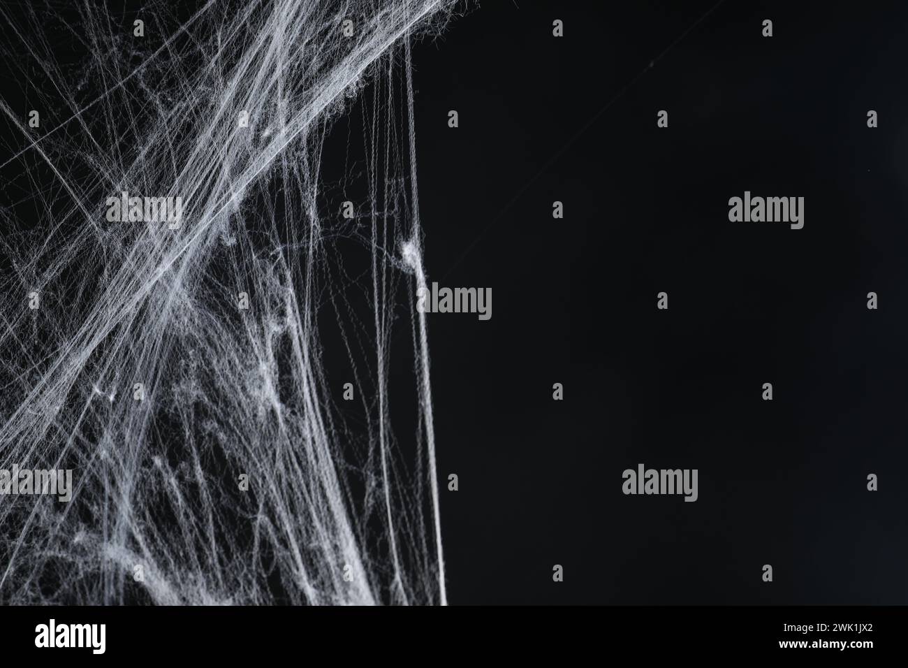 Creepy white cobweb on black background, space for text Stock Photo - Alamy
