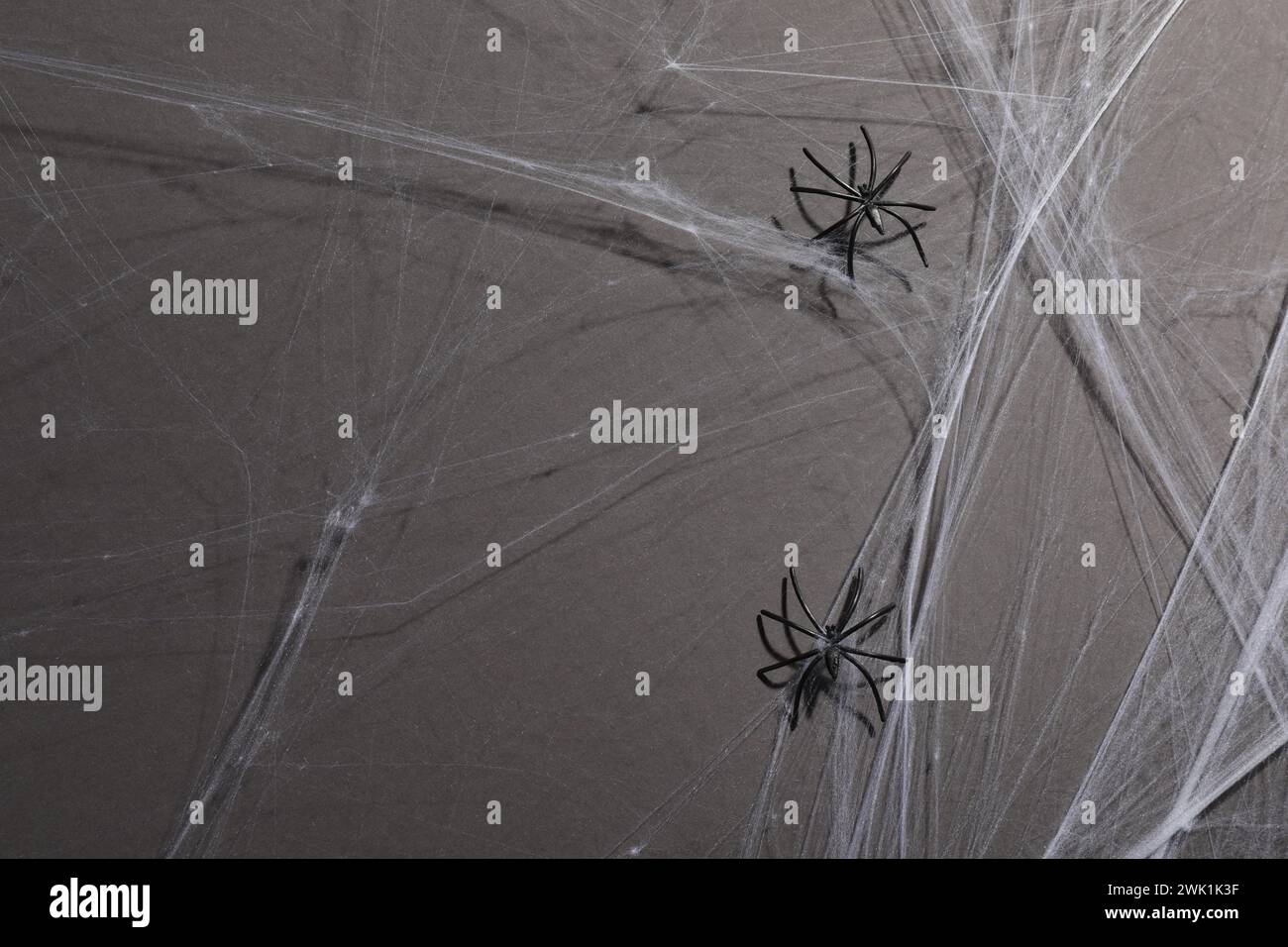 Neglected spiders web hi-res stock photography and images - Alamy
