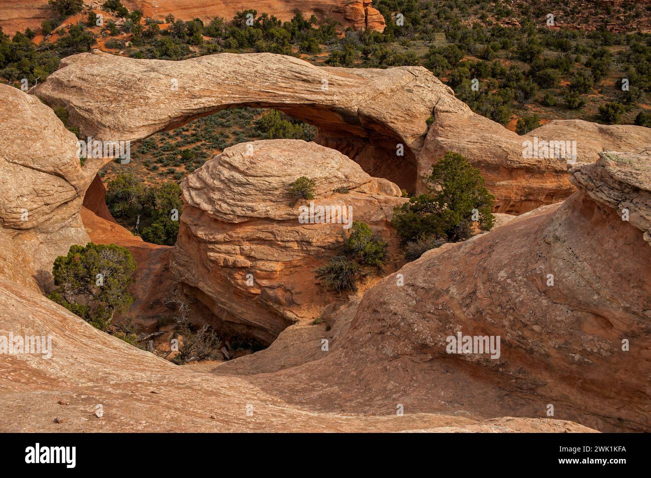 Cedar Tree Arch in the Rattlesnake Arches area of the Black Ridge ...