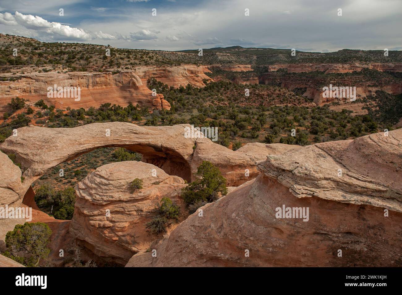 Cedar Tree Arch and Rattlesnake Canyon in the Black Ridge Canyons ...