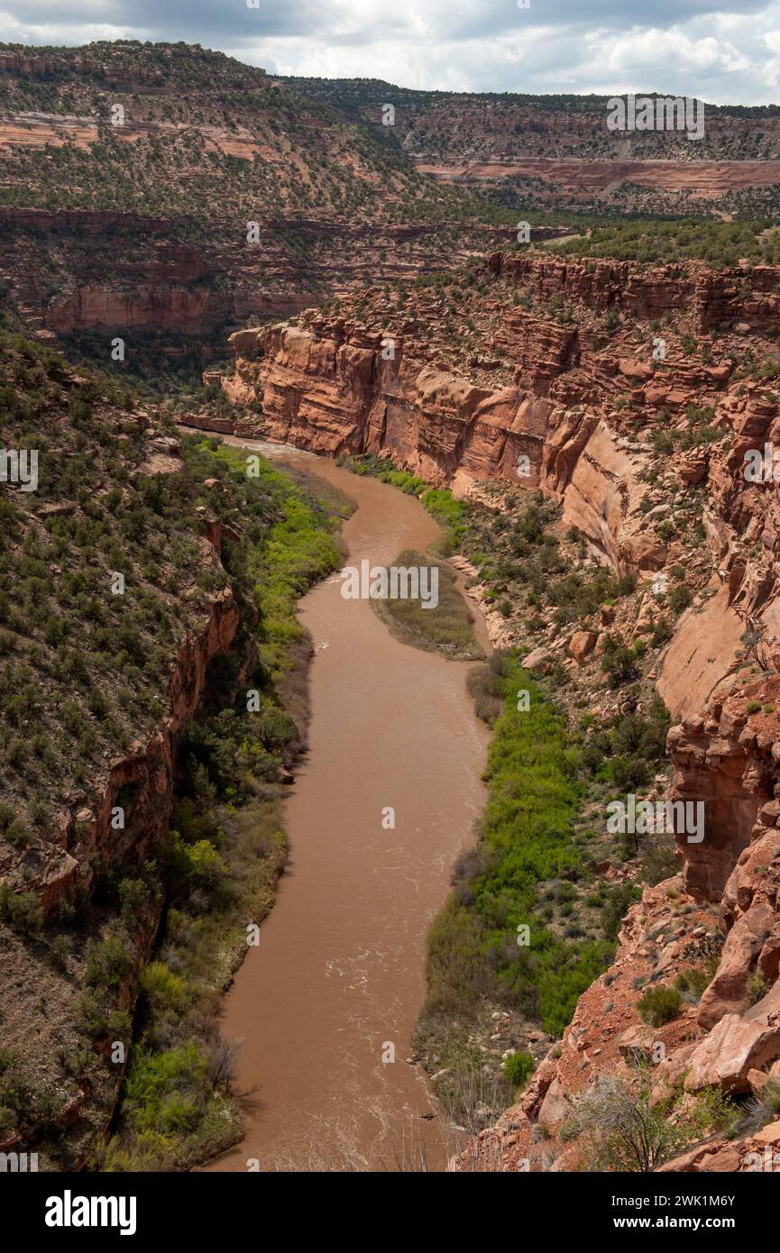 The Dolores River canyon near Uravan, Colorado. Remnants of the ...