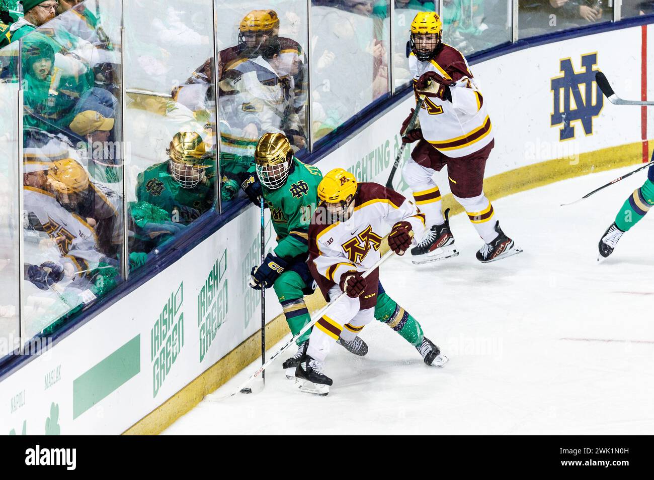 2024 0860 jpg hi-res stock photography and images - Alamy