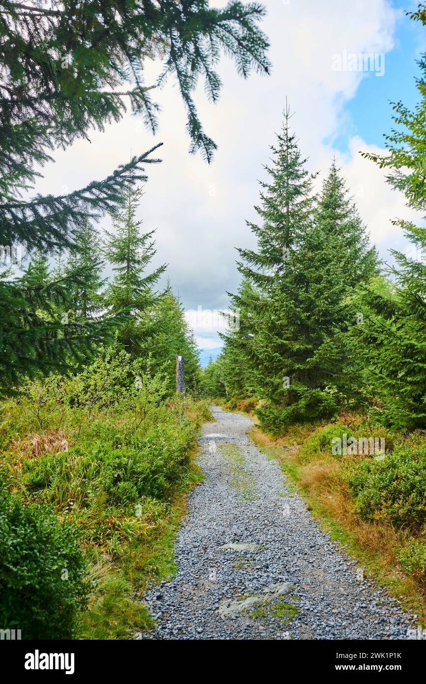 Hiking trail to Mount Lusen in late summer, Bavarian Forest, Bavaria ...