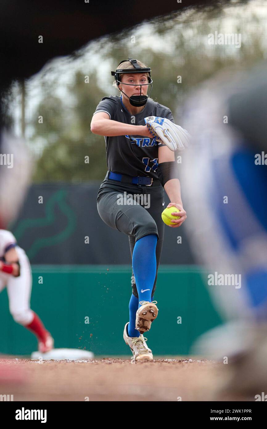 Hofstra Pride pitcher Julia Apsel (17) during an NCAA softball game ...