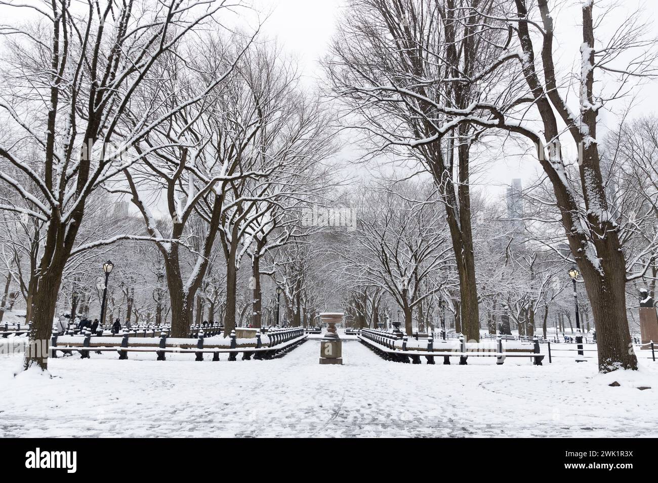 Atmosphere of Central Park on this snowy Saturday morning in New York ...