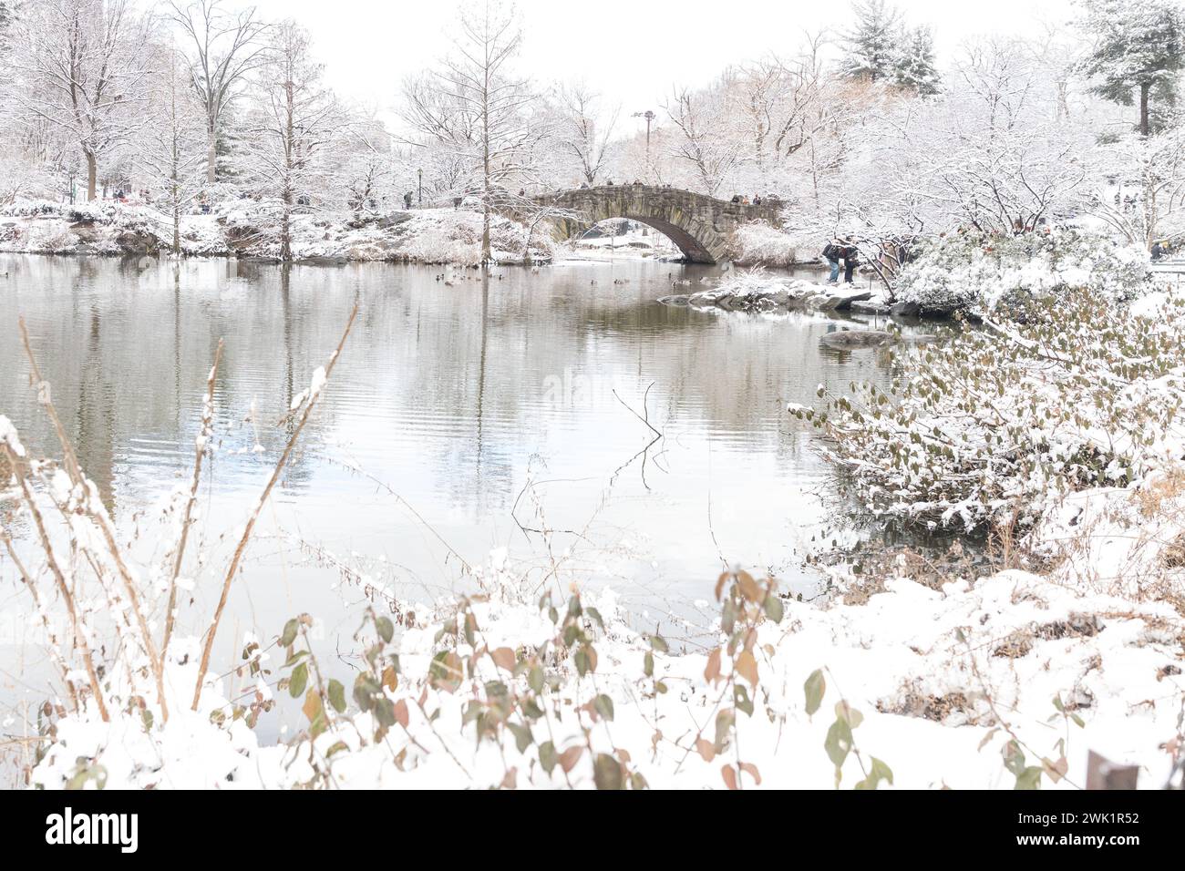 Atmosphere of Central Park on this snowy Saturday morning in New York ...