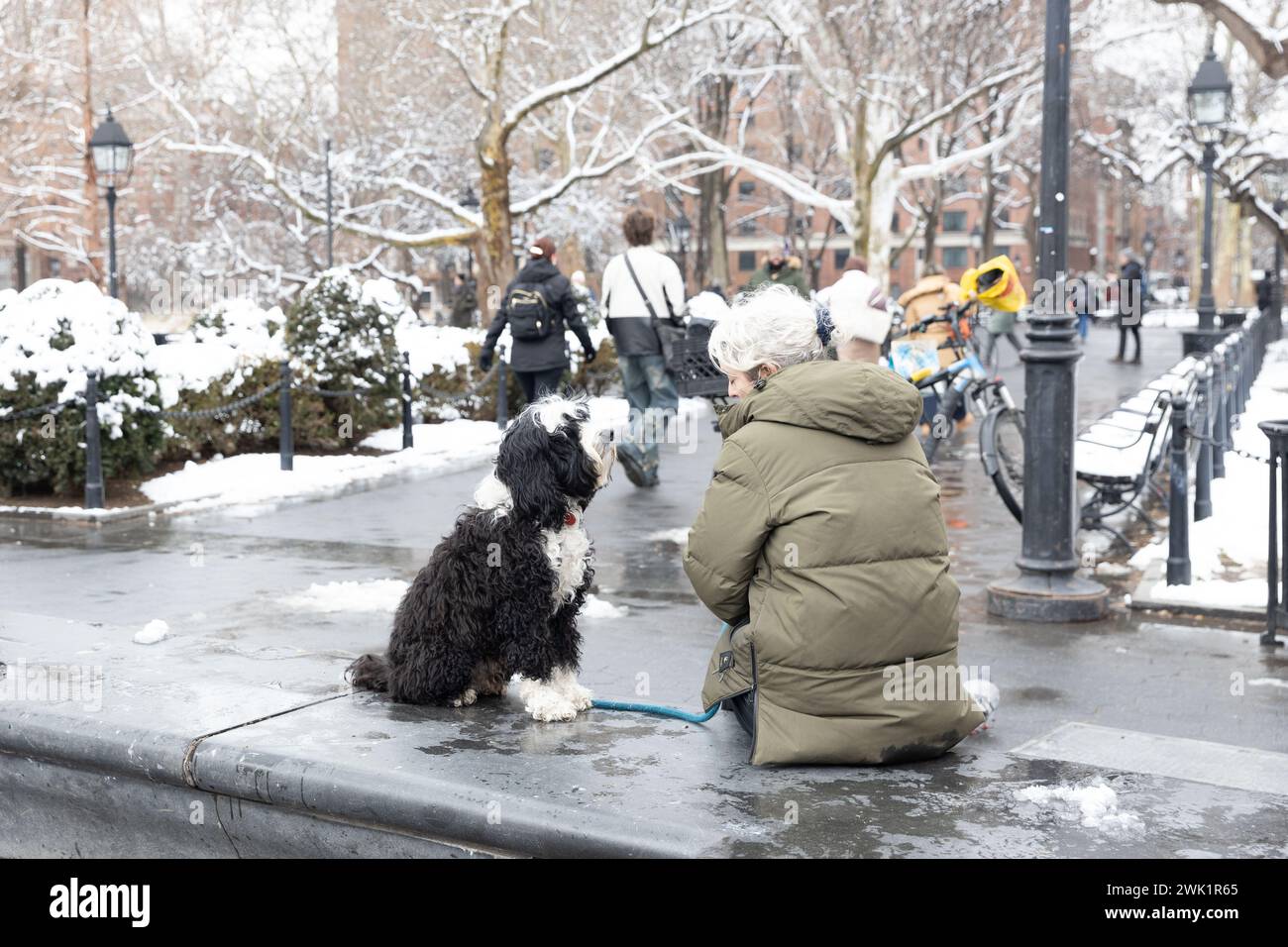 Atmosphere of Central Park on this snowy Saturday morning in New York ...
