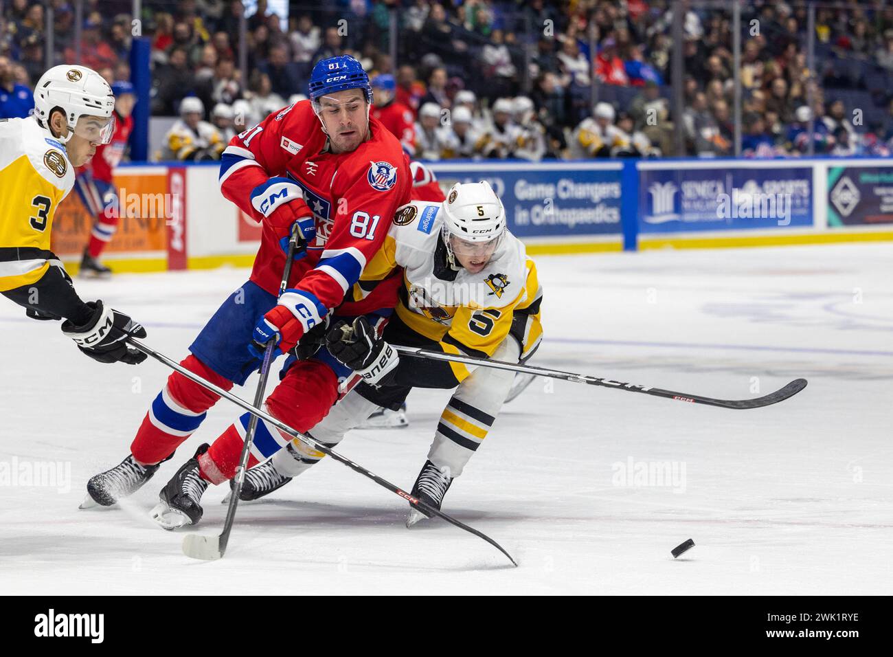 February 16th, 2024: Rochester Americans forward Brett Murray (81 ...