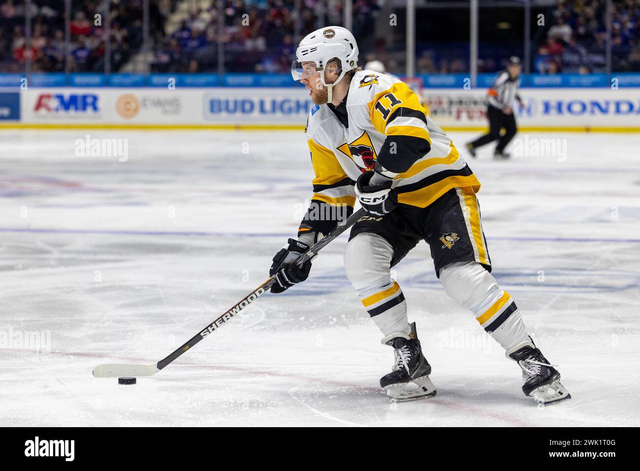 Alex wilkes hi-res stock photography and images - Alamy