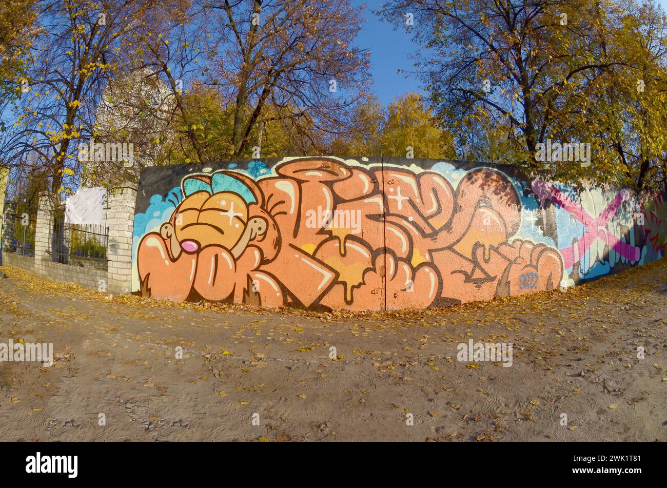 Fisheye shot of street art graffiti drawing on wall. Spray art artwork ...