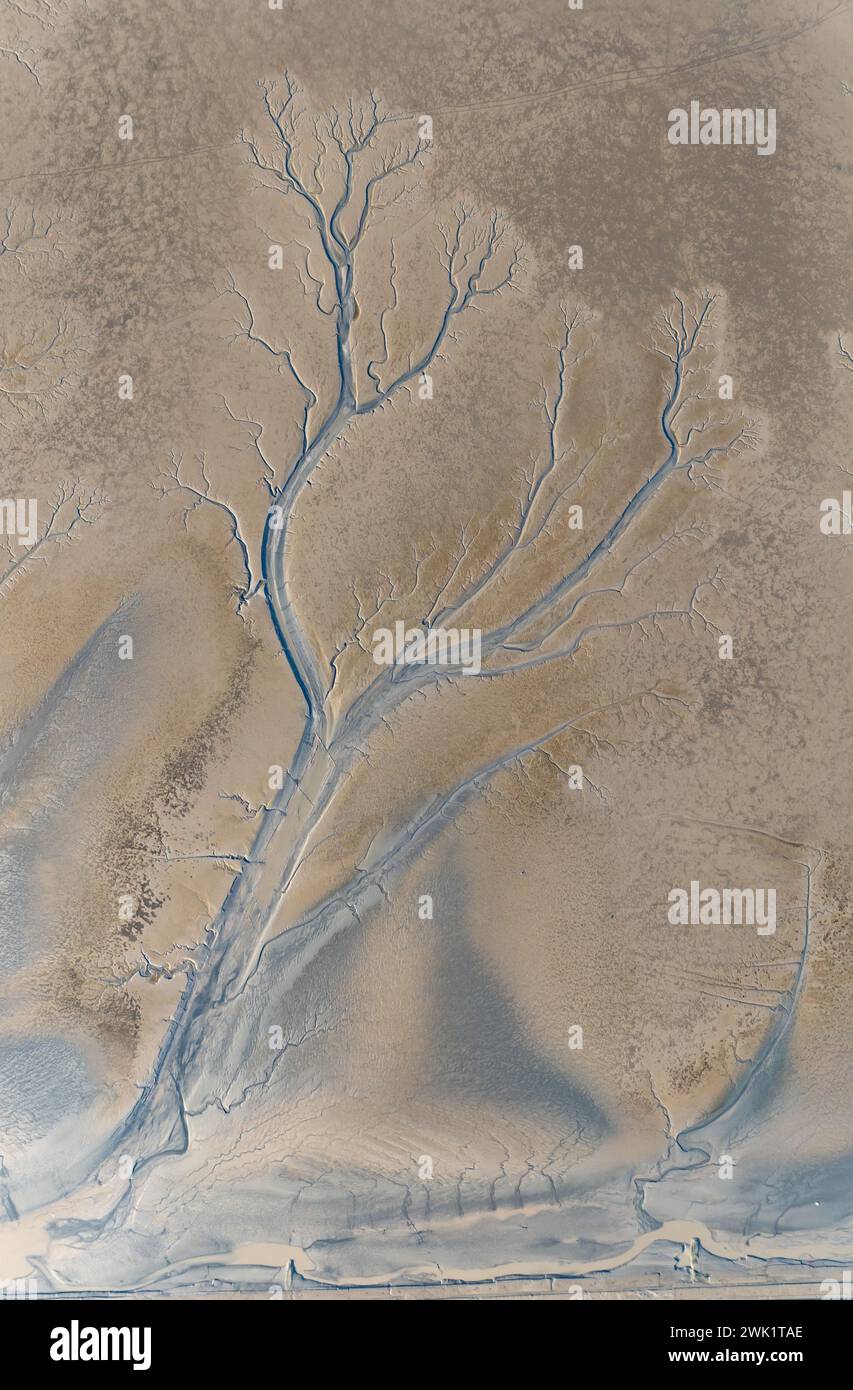 Macau forest hi-res stock photography and images - Alamy