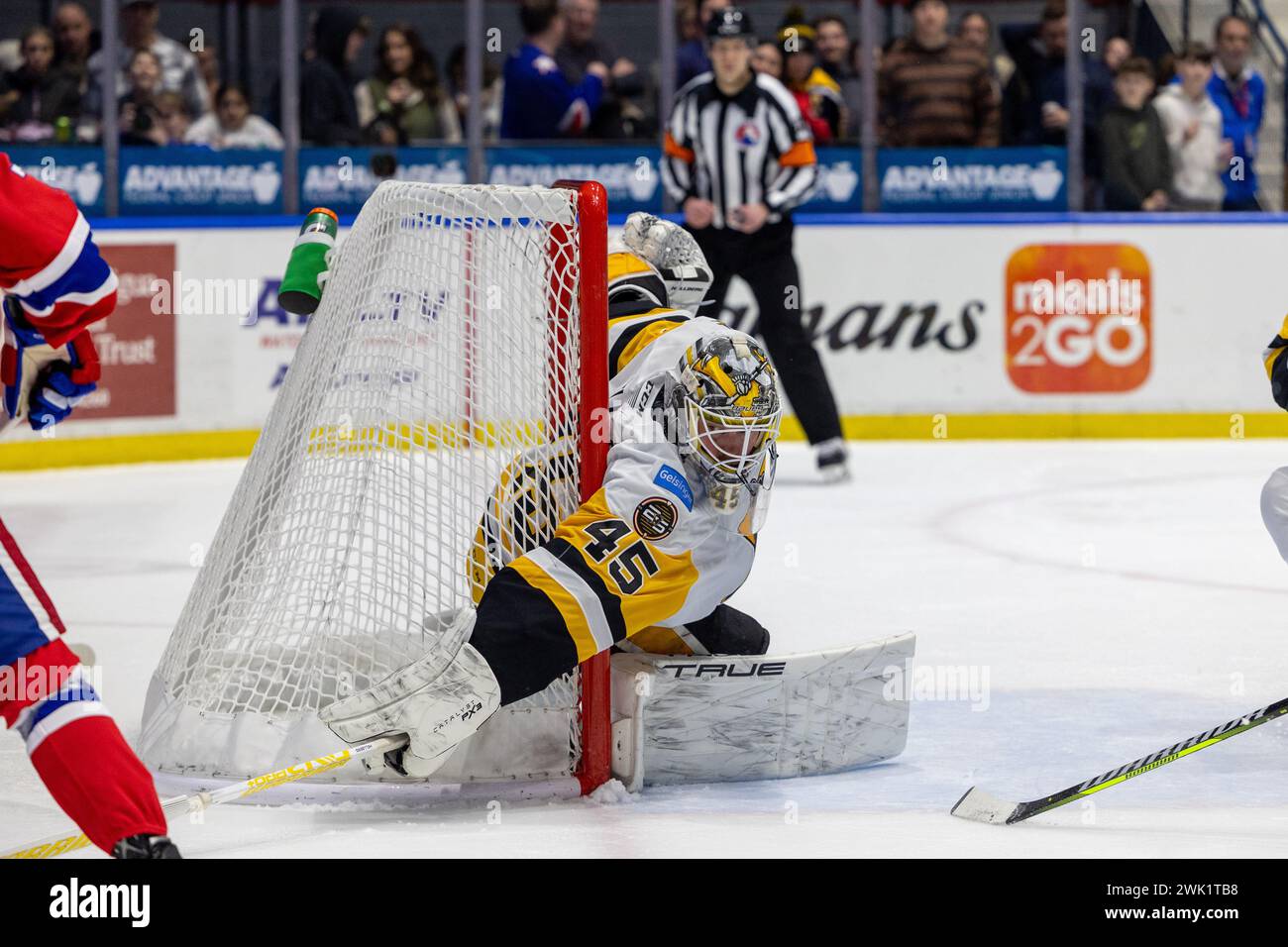 February 16th, 2024: Wilkes Barre Scranton Penguins goaltender Magnus ...