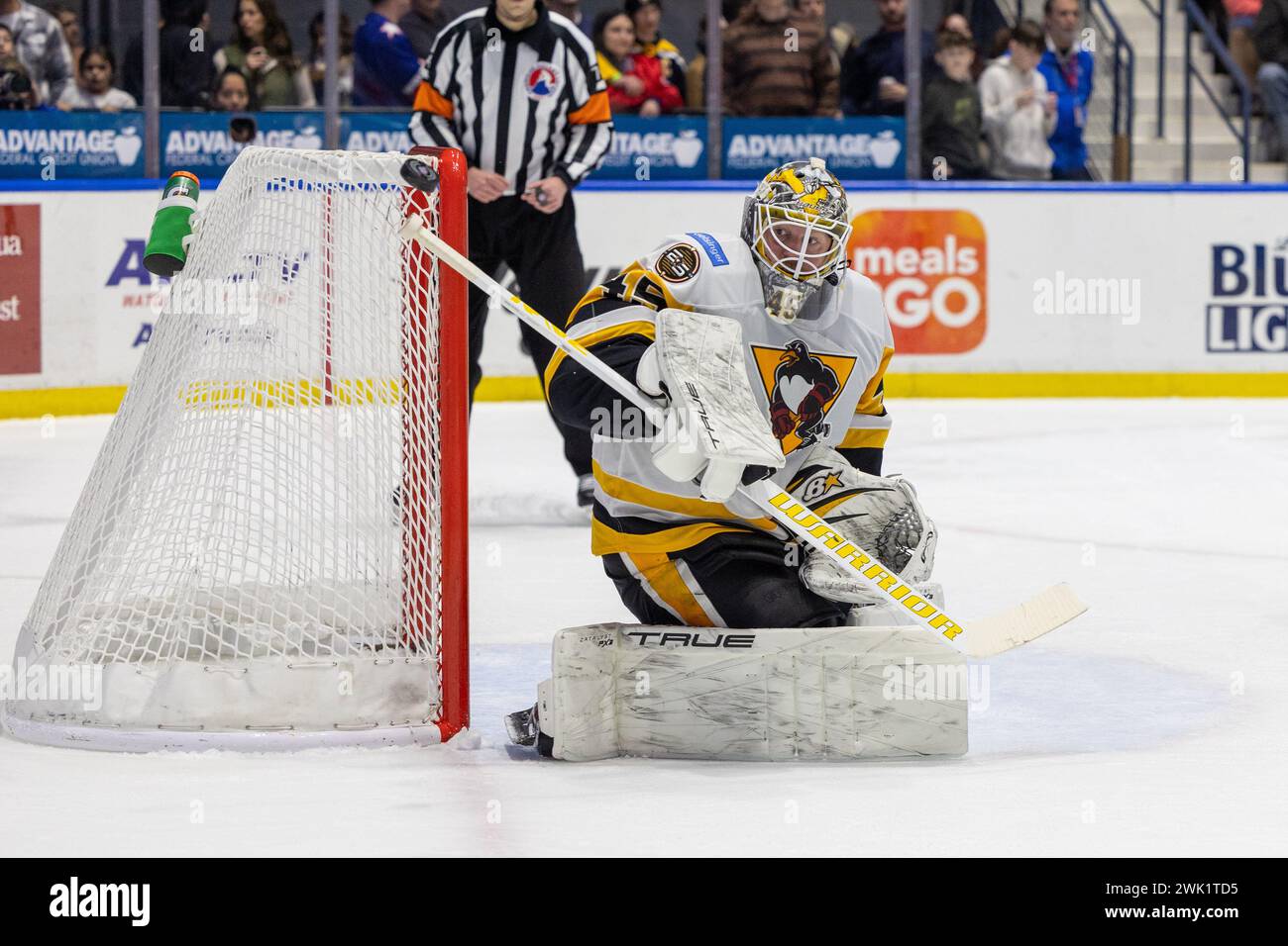 February 16th, 2024: Wilkes Barre Scranton Penguins goaltender Magnus ...