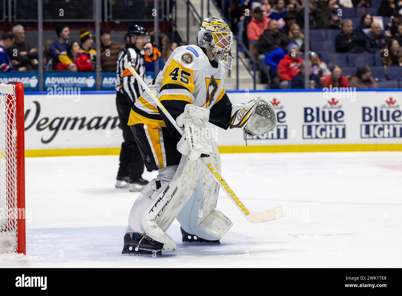 February 16th, 2024: Wilkes Barre Scranton Penguins goaltender Magnus ...