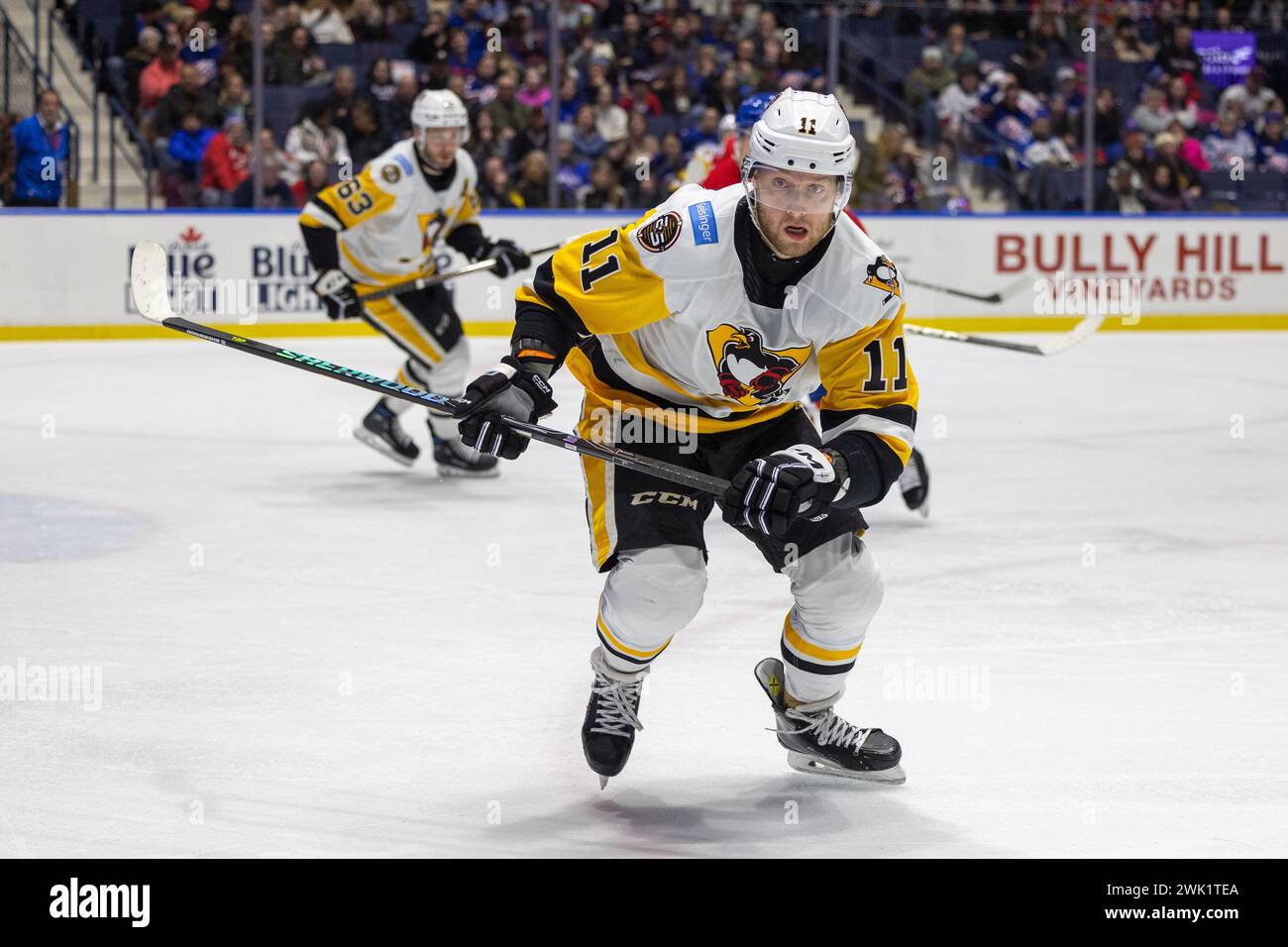 February 16th, 2024: Wilkes Barre Scranton Penguins forward Alex ...