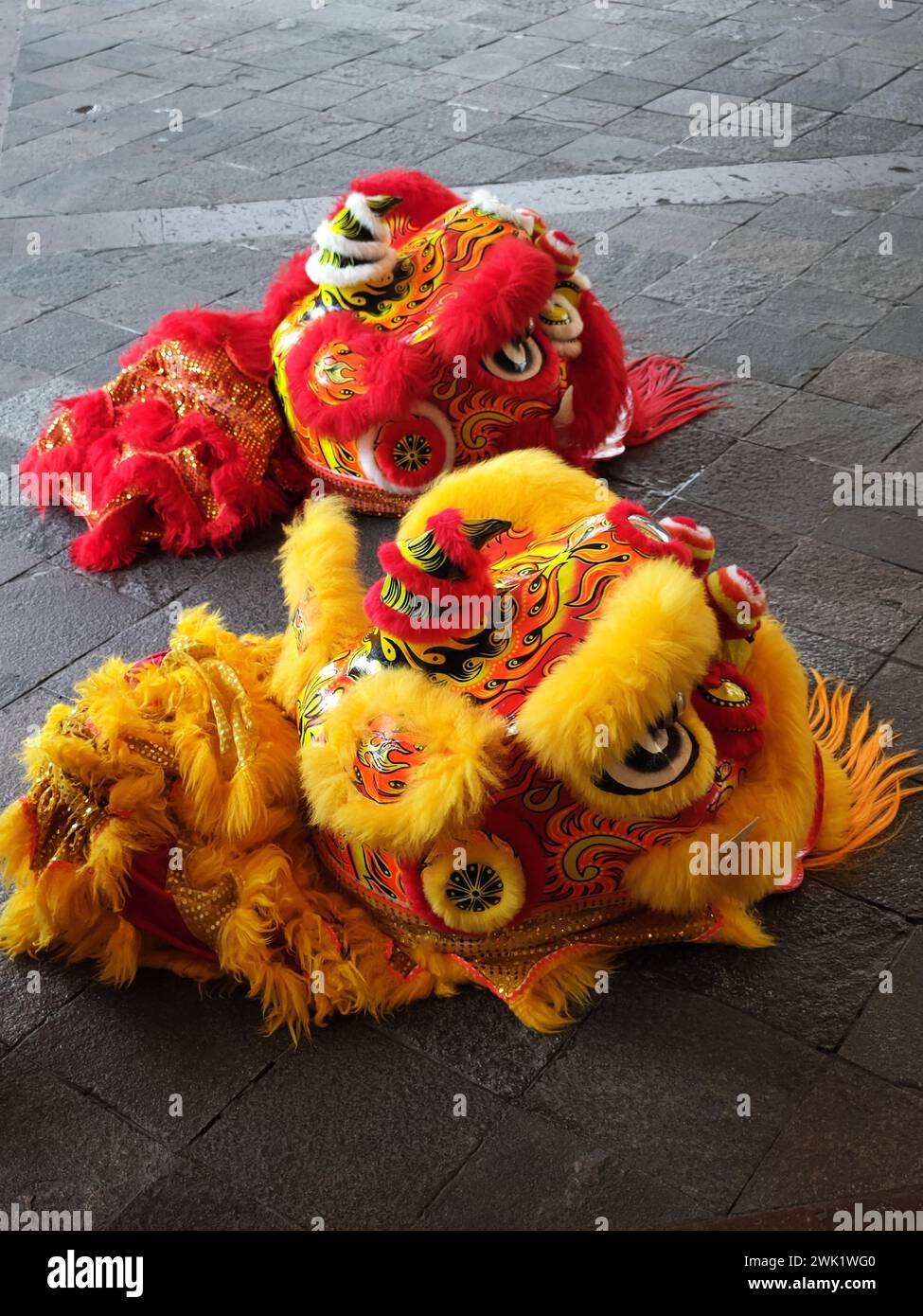 Southern lions hi-res stock photography and images - Alamy