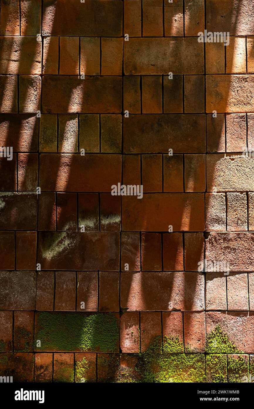 Moss on brick wall in sunlight. Mossy bricks backgrounds Stock Photo ...